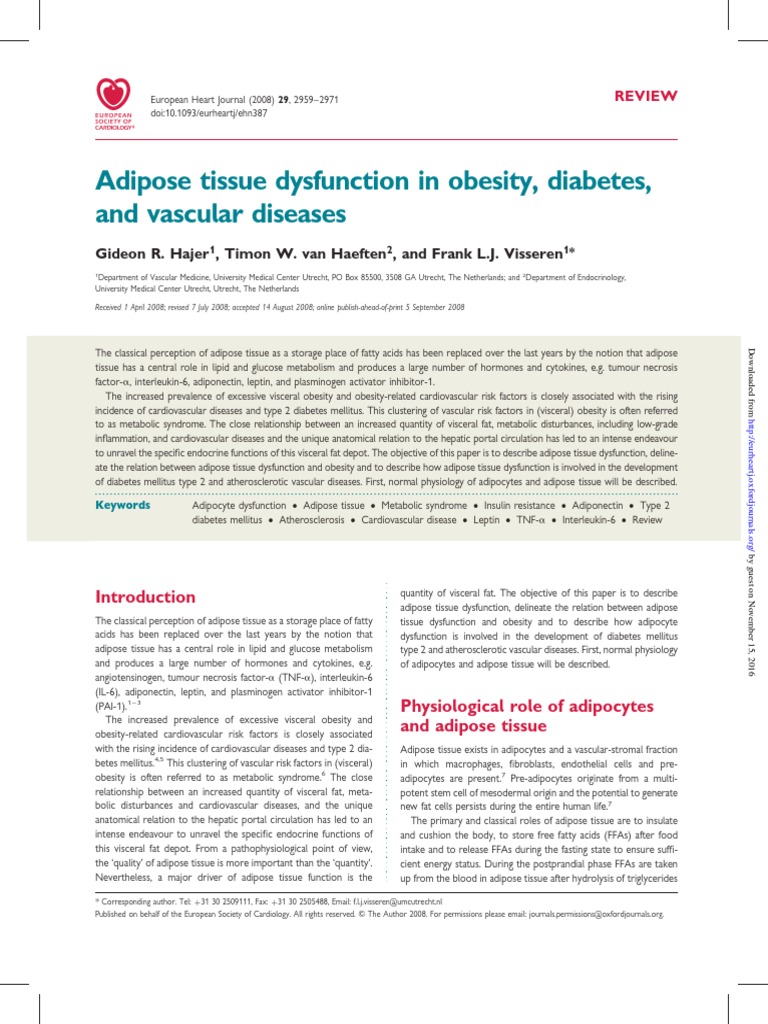 Adipose Tissue Dysfunction | PDF | Adipose Tissue | Adipocyte