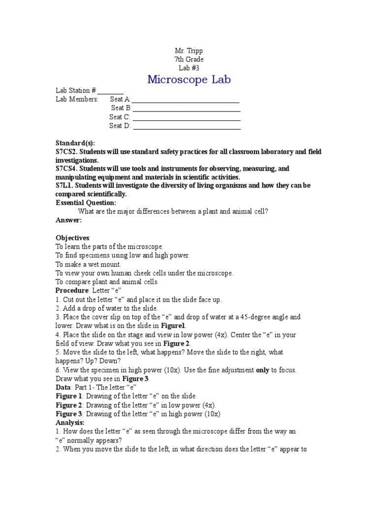 7th Grade Lab 3 Microscope Lab | PDF | Laboratories | Cell (Biology)