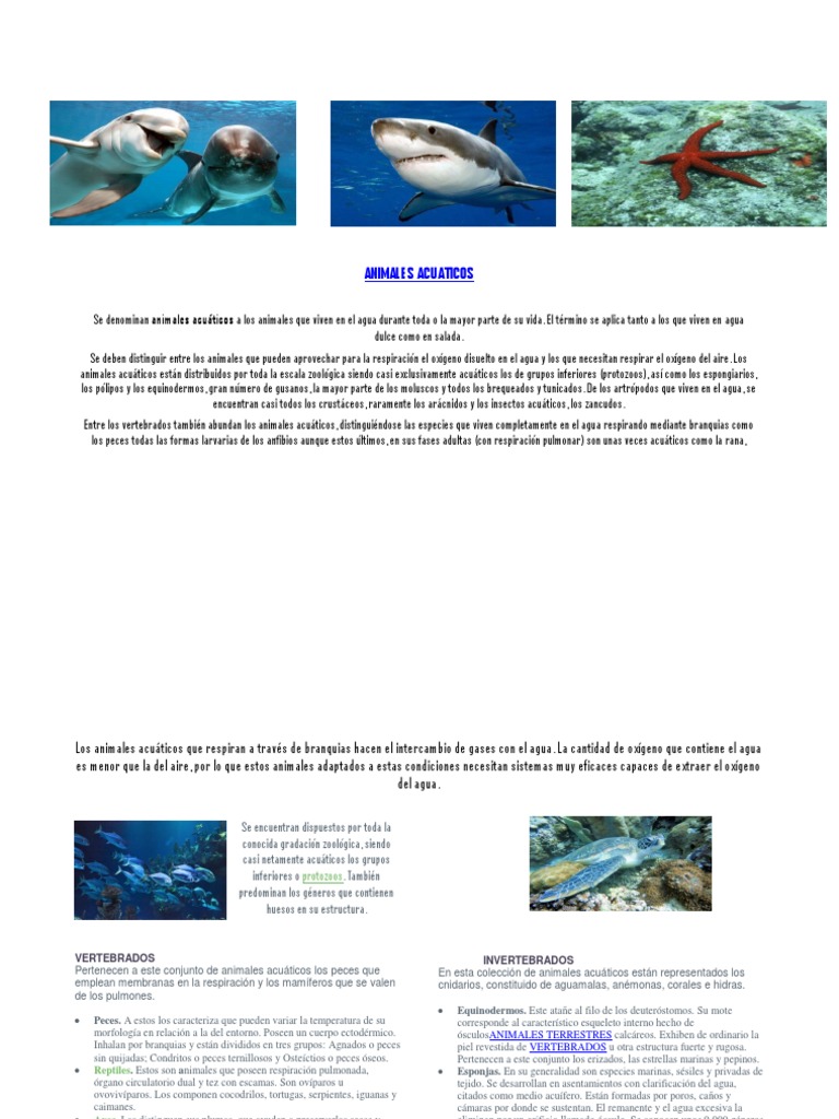 Animales Acuaticos | PDF | Naturaleza | Organismos
