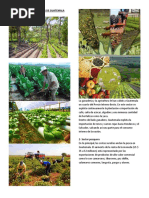 Ejemplos de Los Signos Naturales | PDF