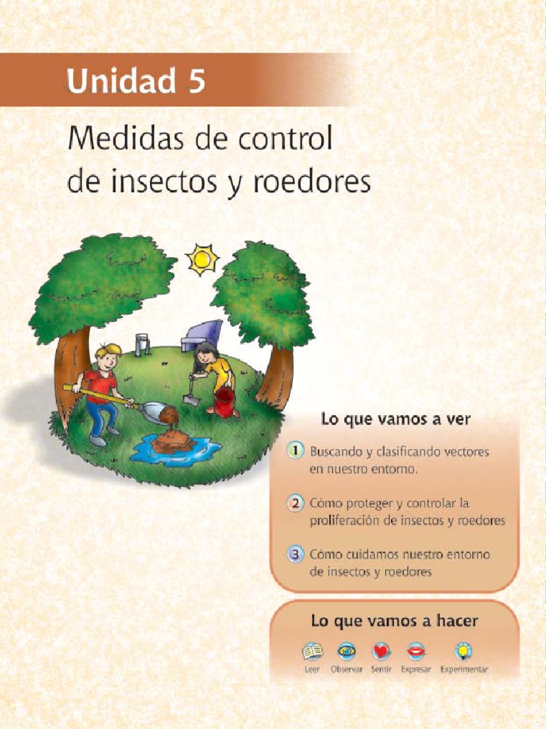 Medidas de Control para Insectos y Roedores PDF | PDF | Insectos ...