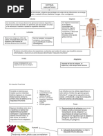 Mapa Conceptual Inmunidad | PDF | Linfocitos | Antígeno