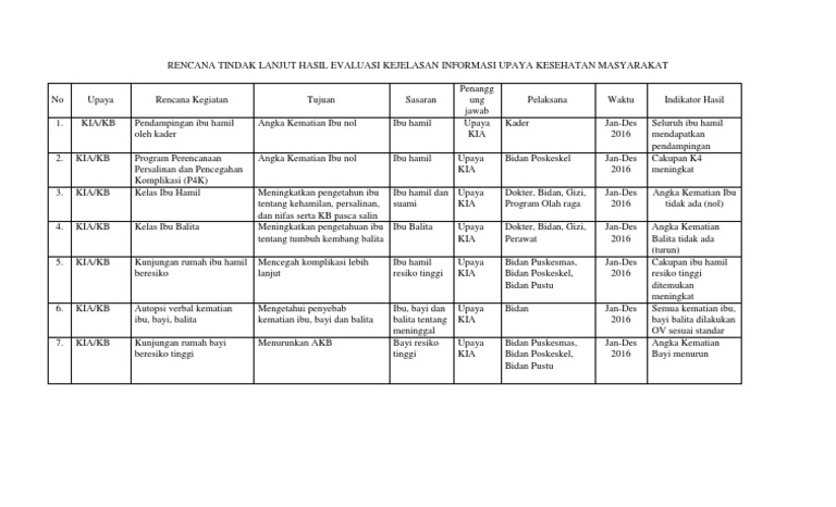 Evaluasi Program KIA | PDF