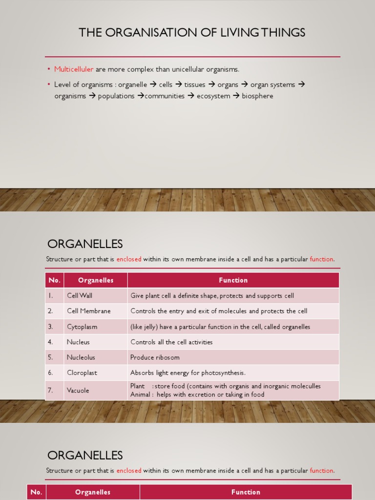 The Organisation of Living Things | PDF