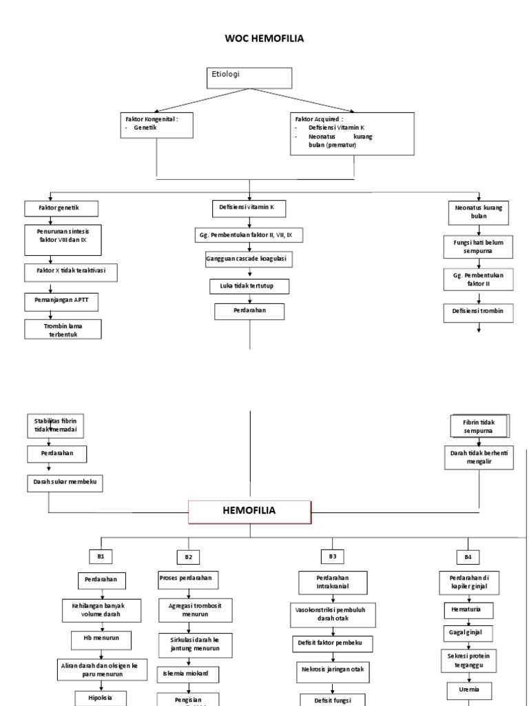 Woc Hemofilia | PDF