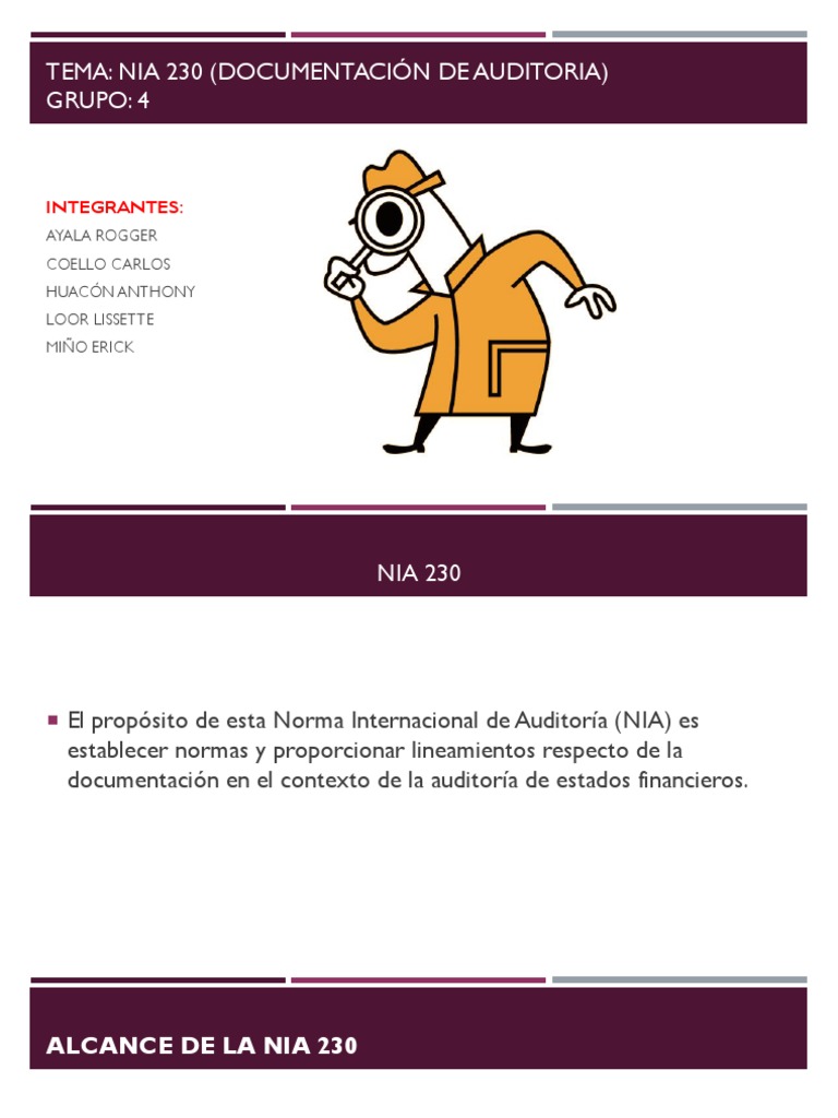 NIA 230: Documentación de Auditoría | PDF | Auditoría | Contralor