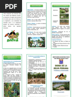TripTico Loreto - Peru | PDF | Naturaleza