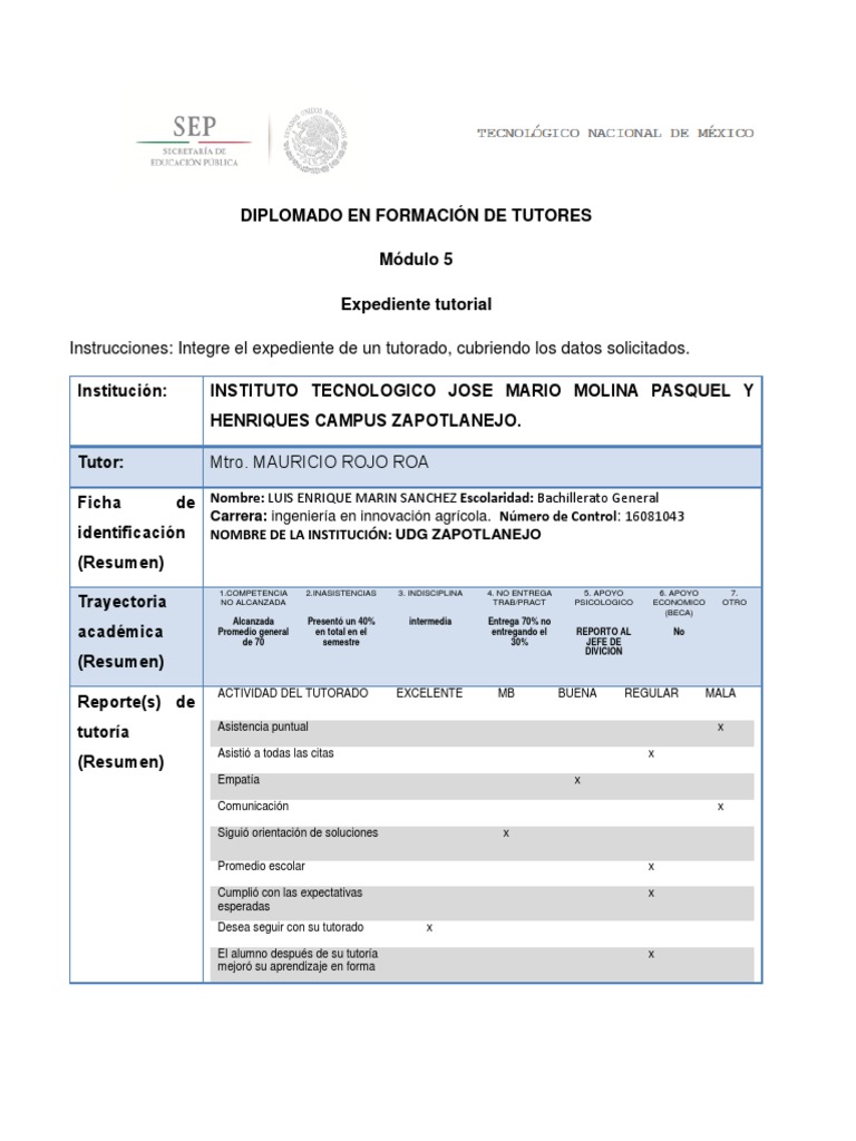 Expediente Tutorial de Tutoría Académica | PDF | Escuelas | Estudiantes