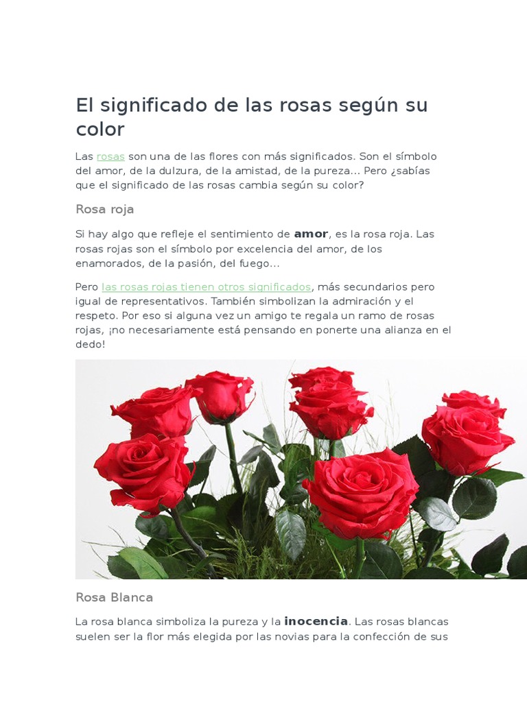 El Significado de Las Rosas Según Su Color | PDF | Rosa | Color