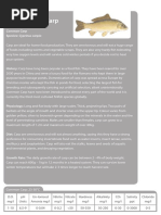 Navy Corpsman Sick Call Screeners Guide | PDF | Knee | Anatomical Terms ...
