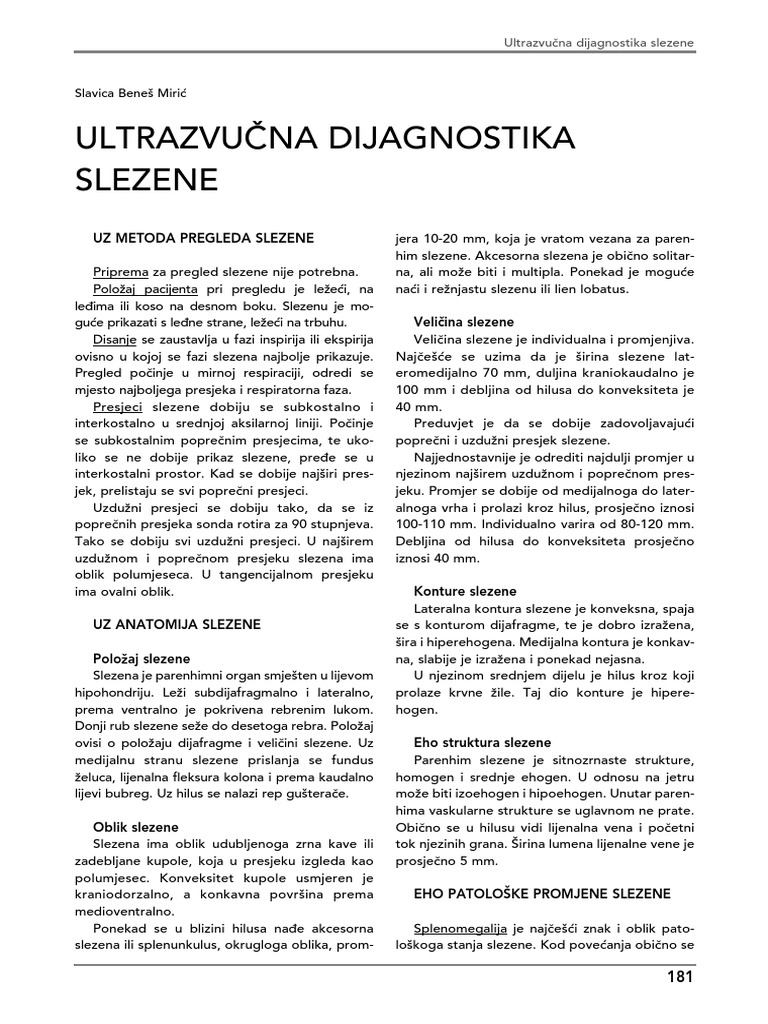 04 - Slezena PDF | PDF