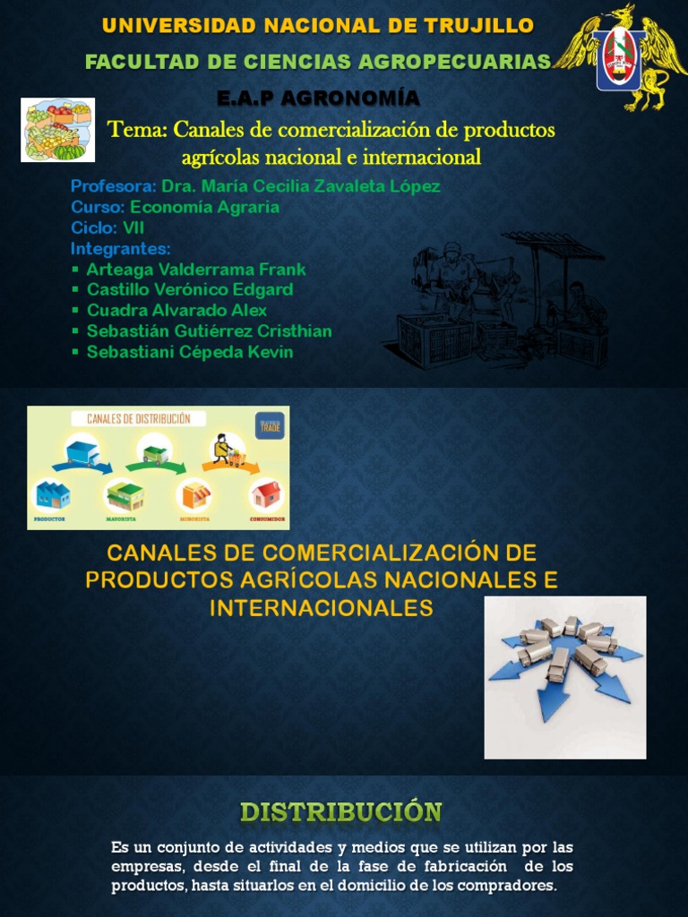 Canales de Distribucion | Descargar gratis PDF | Los consumidores ...
