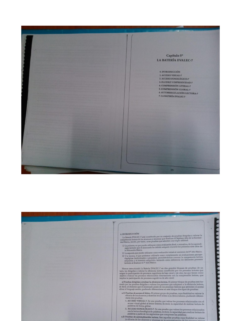 Evalec 7 Manual PDF | PDF