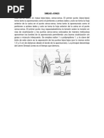 Incisión Rocky Davis | PDF | Medicina CLINICA | Anatomía