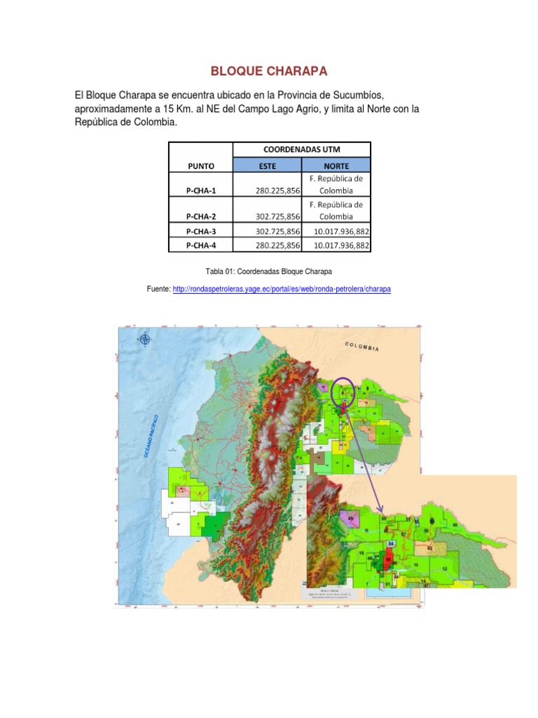 Características del Bloque Charapa | PDF | Petróleo | Geología