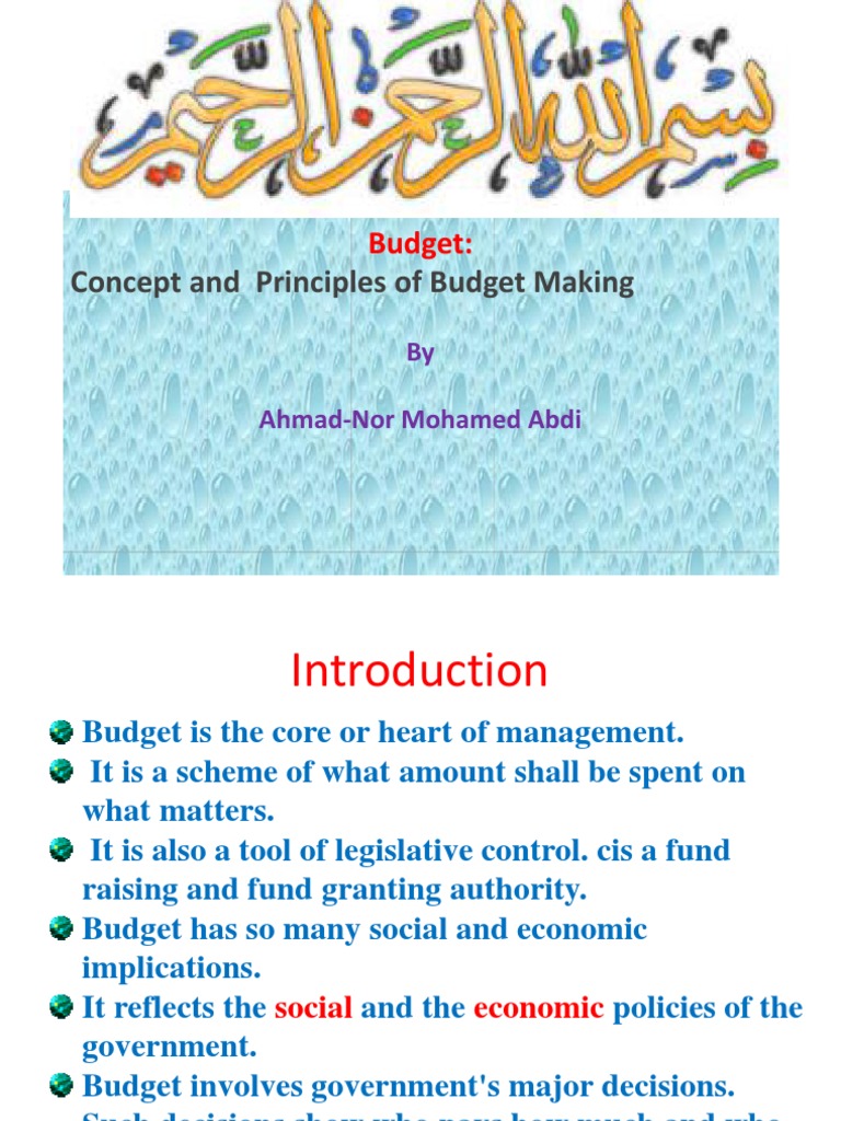 Budget Concepts and Principles | PDF | Taxes | Budget