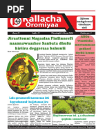 Hiibboo Afaan Oromoo | PDF