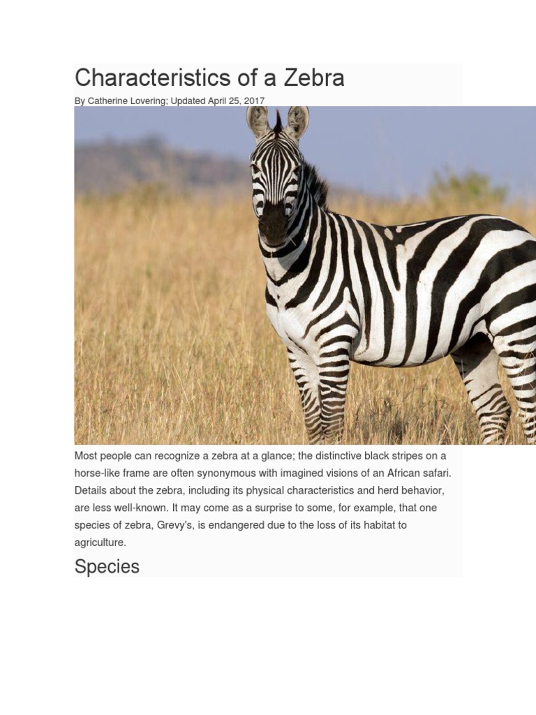 Characteristics of A Zebra | PDF