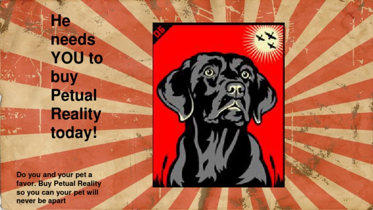 Petual Reality | PDF | Law