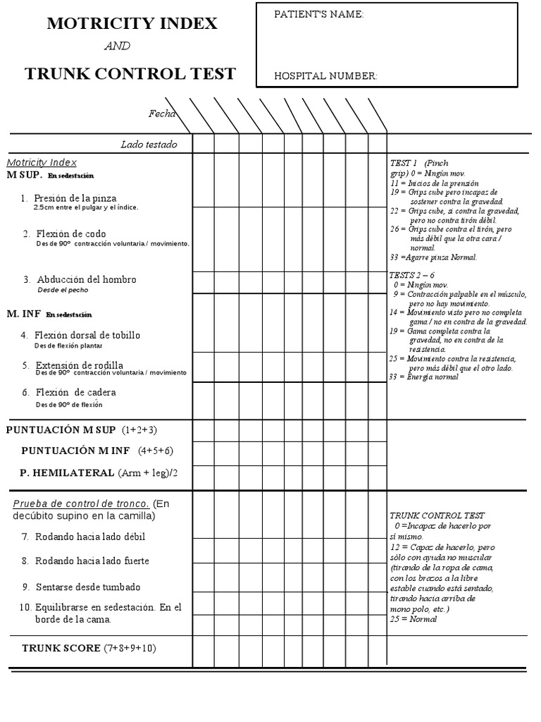 Test Que Evalua El Control Del TroncoL | PDF | Sistema ...