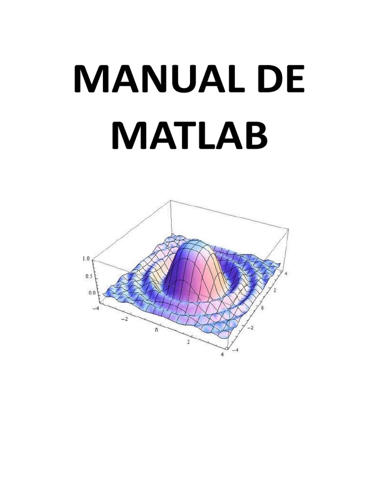 Manual de Matlab | PDF | Visión | Procesamiento de imágenes