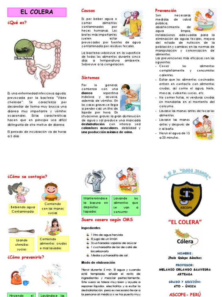 Triptico El Colera | PDF | Cólera | Diarrea