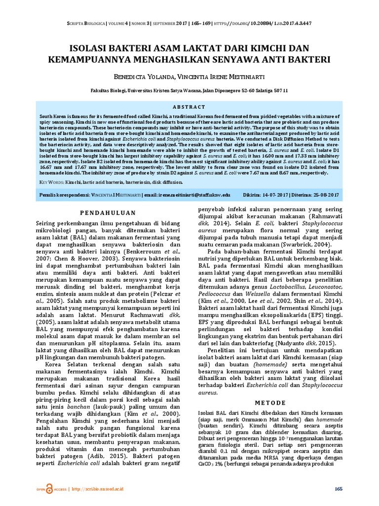 Isolasi Bakteri Asam Laktat Dari Kimchi Dan Kemamp | PDF