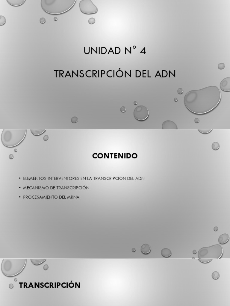 UNIDAD #5 Transcripción Del Adn | PDF | Rna | Adn