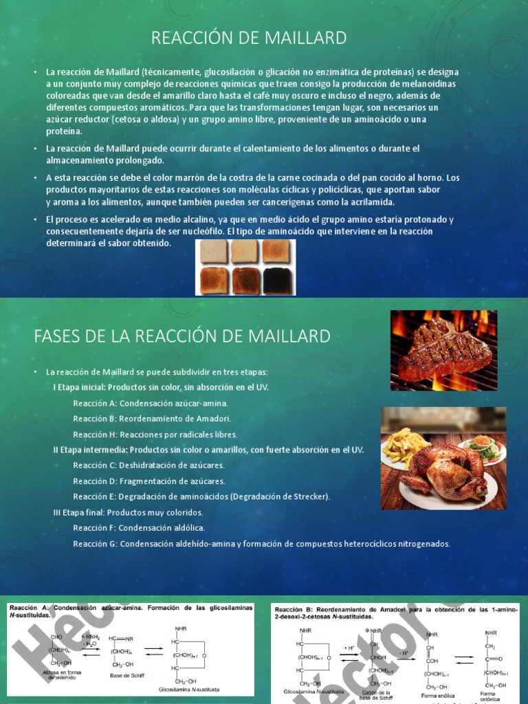 Reacción de Maillard | Bioquímica | Química