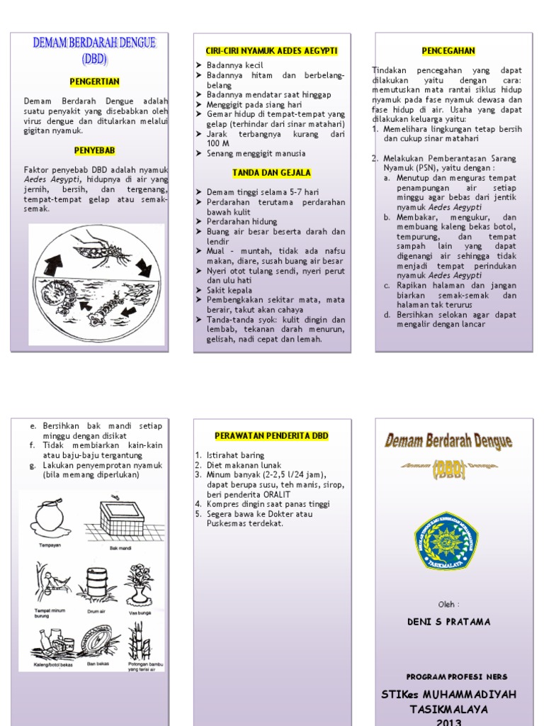 Leaflet DHF | PDF
