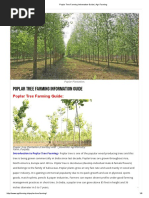 NJUG Publication Volume 1 | PDF | Root | Trees