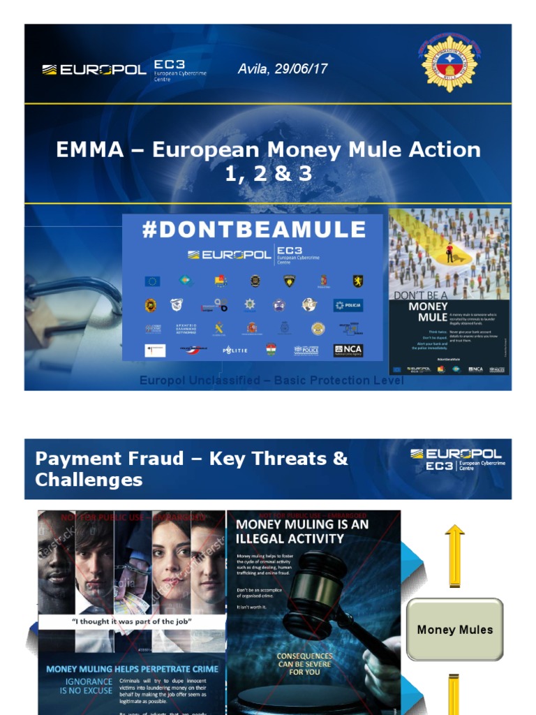 Emma Money Mule | PDF | Fraud | Criminal Law