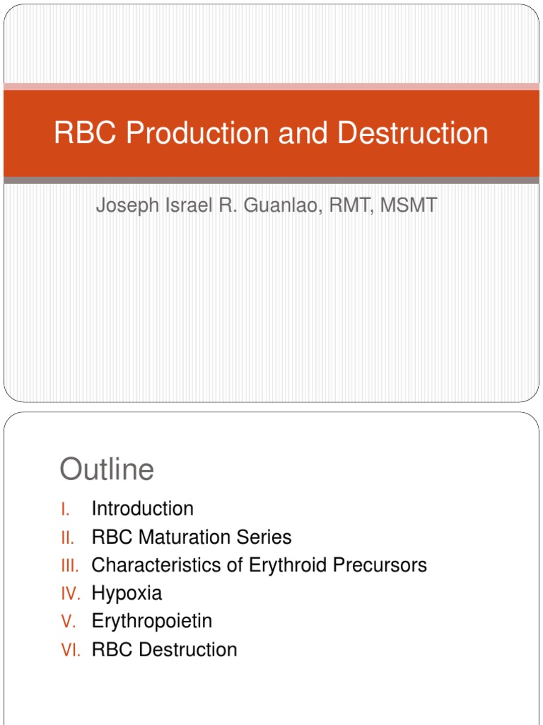 RBC Production and Destruction | PDF | Red Blood Cell | Spleen