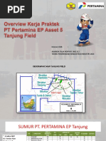 Prima Energi: Indonesia's Oil Future | PDF | Petroleum Reservoir ...