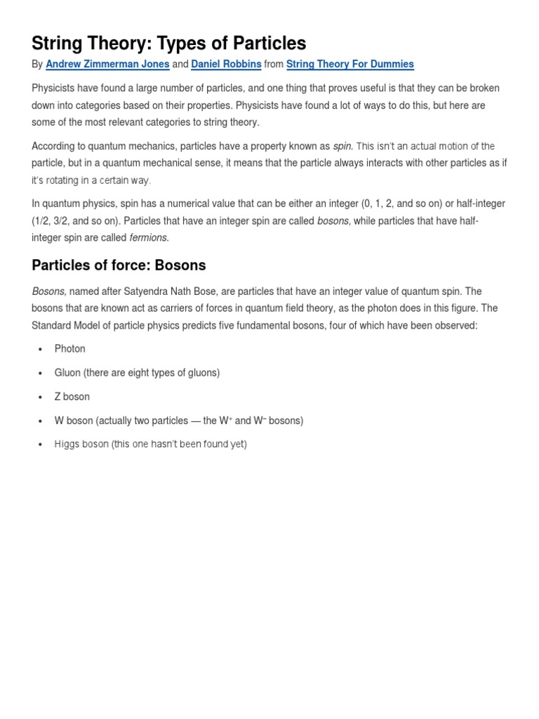 String Theory: Types of Particles | PDF | Quark | Boson