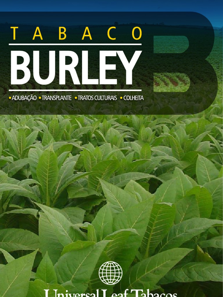 Folder Burley | PDF | Fertilizante | Agricultura