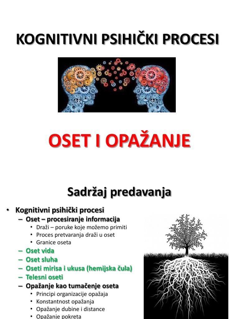 3.oset I Opazanje | PDF