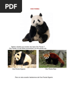 Tipos de Pandas | PDF | Panda gigante | Osos