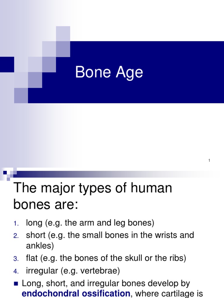 Bone Age | PDF | Bone | Osteoblast