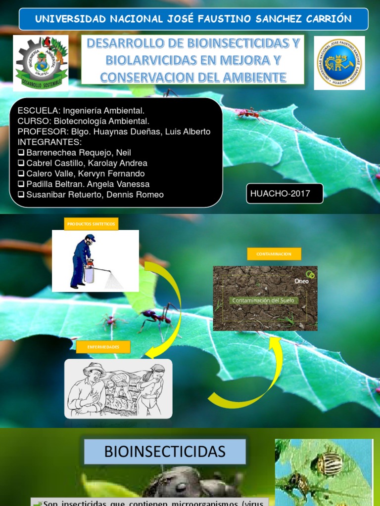 BIOINSECTICIDAS-PPT[1] | Biología | Organismos
