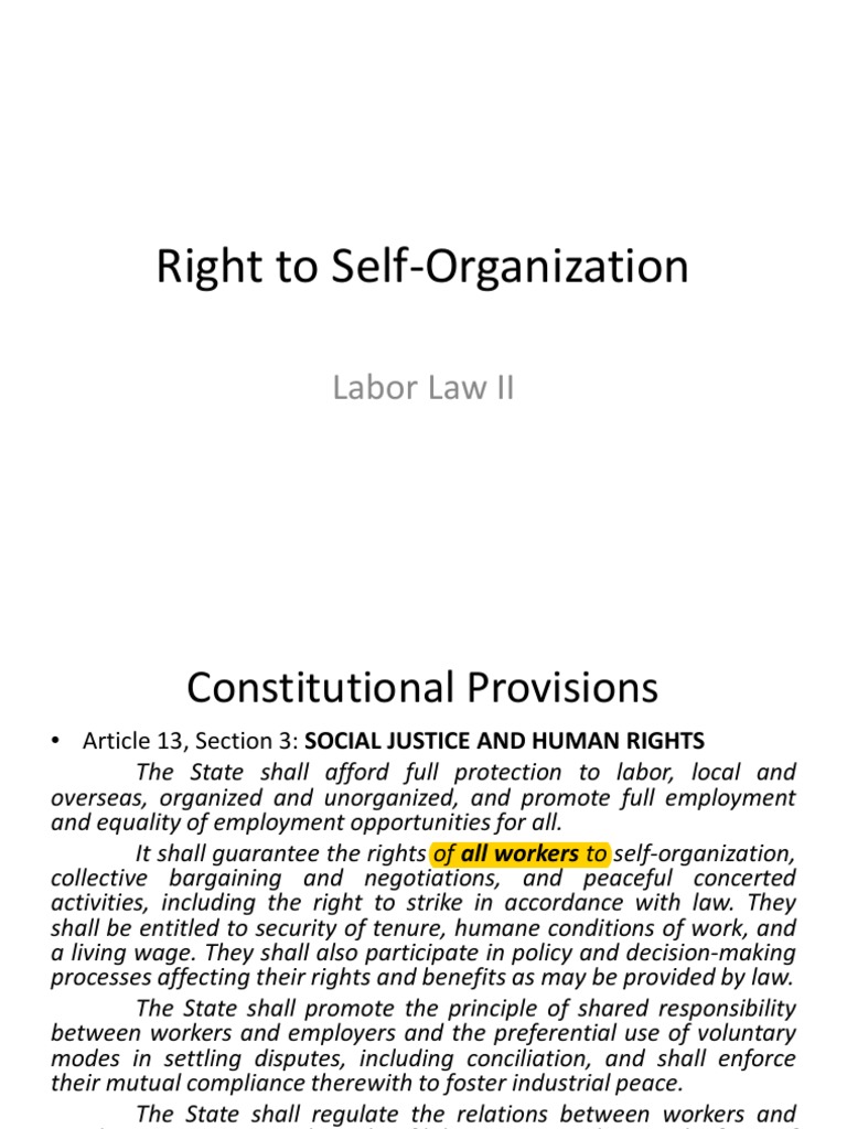 Rights to Self-Organization in Labor Law | PDF | Sovereign Immunity ...