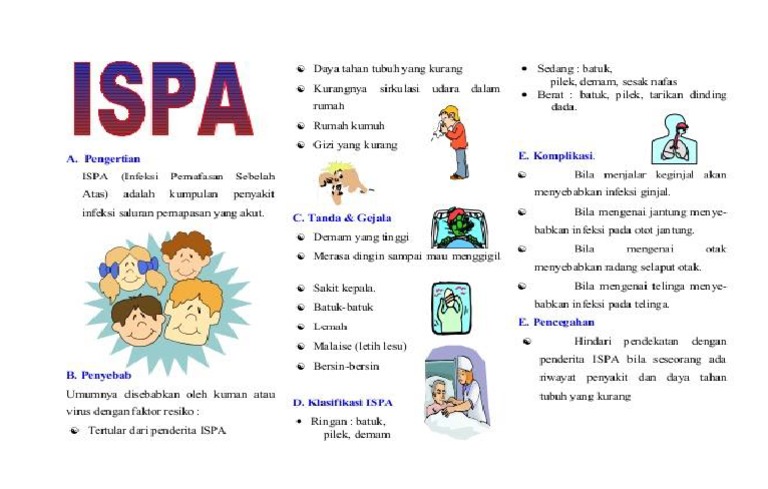 Leaflet ISPA | PDF