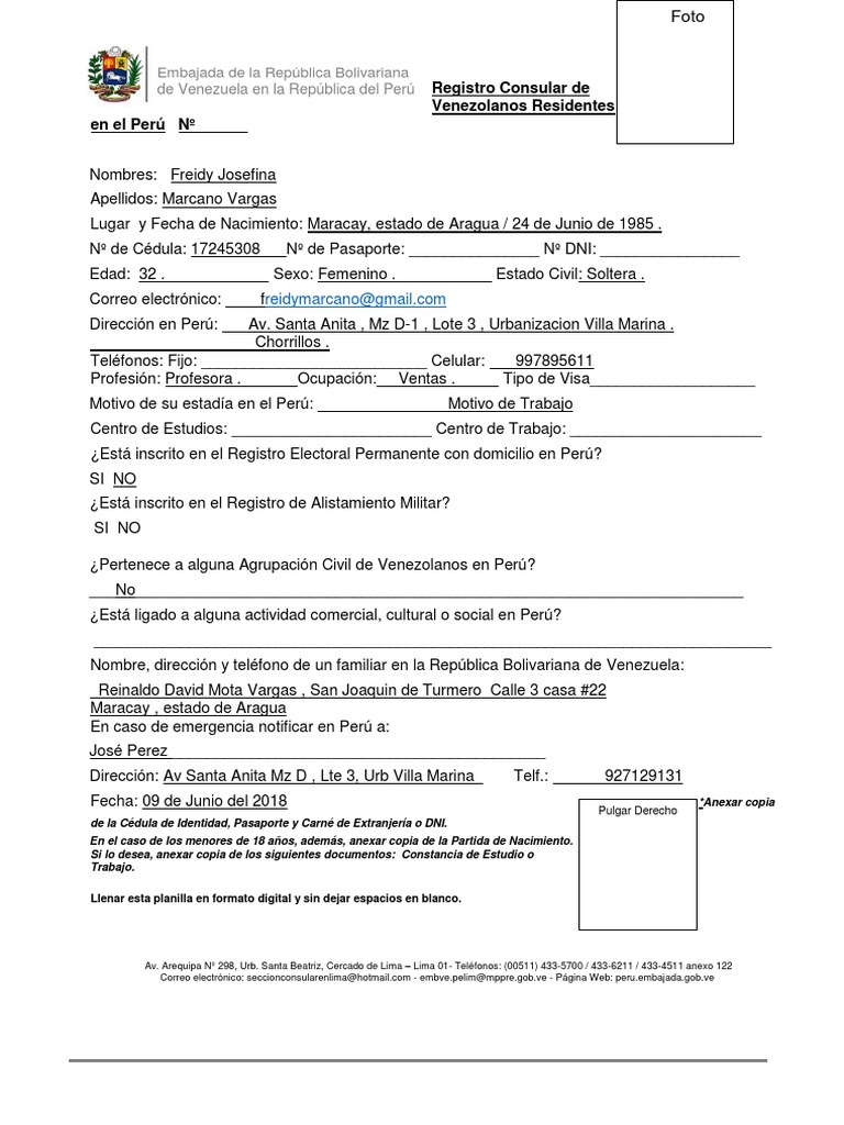 15. Registro Consular Para Base de Datos - Formulario 1 | Gobierno y ...