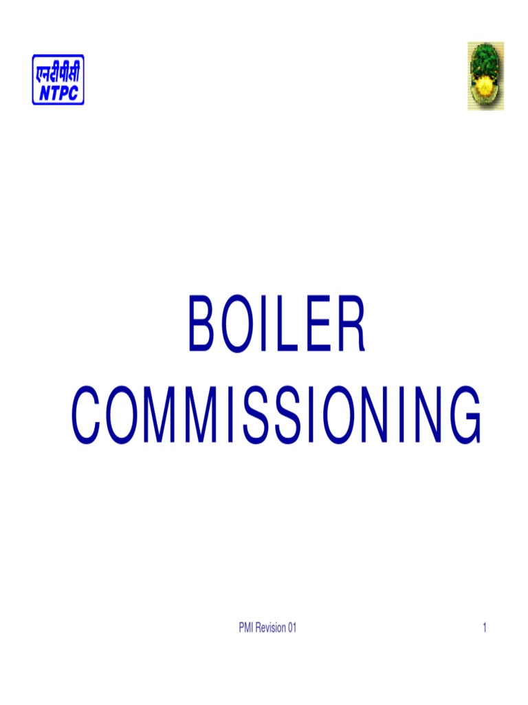 Boiler Boiler Commissioning Commissioning: PMI Revision 01 1 ...