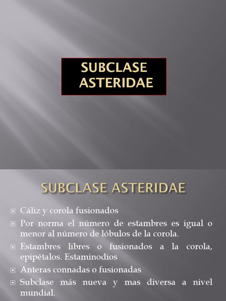 Subclase Asteridae | PDF | Ramas de la botánica | Botánica