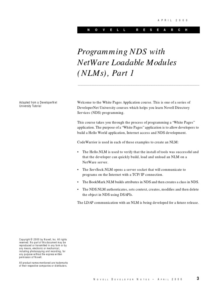 Programming NDS With NetWave | PDF | Port (Computer Networking) | Network Socket
