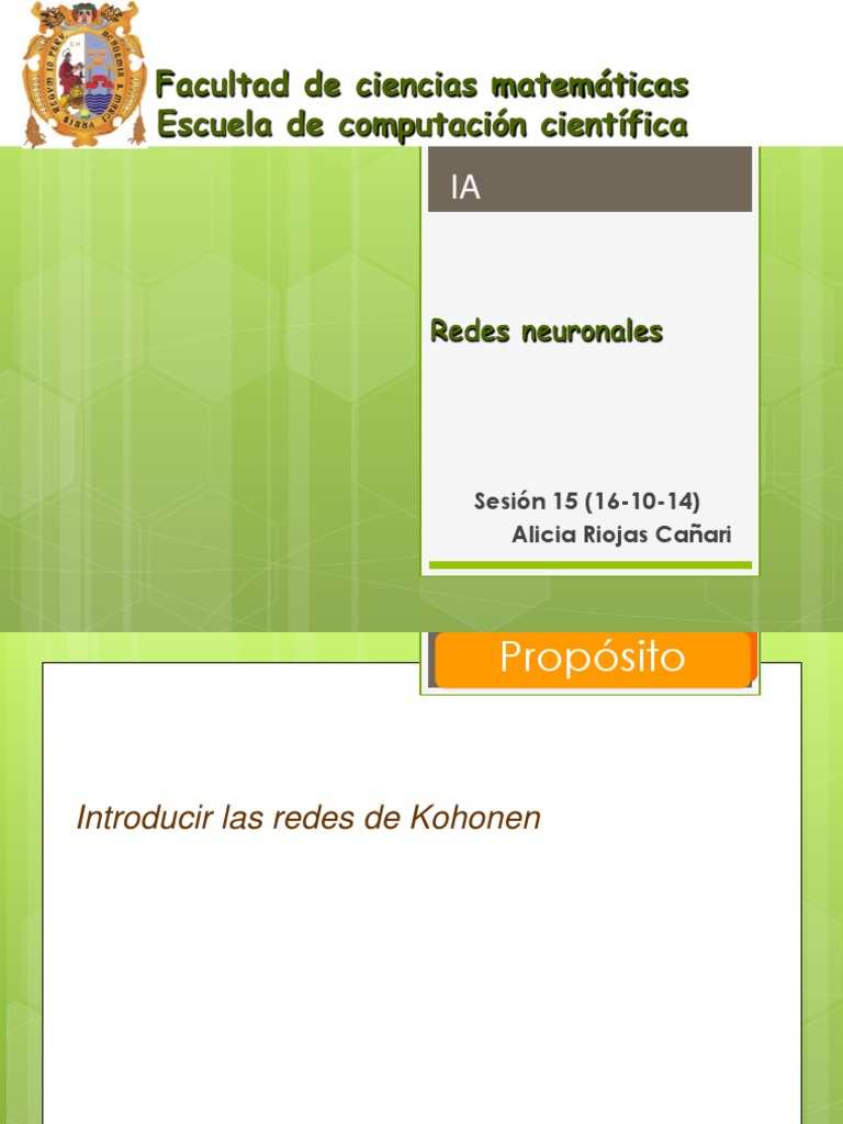 Redes Neuronales-Red de Kohonen | PDF | Red neuronal artificial | Neurociencia