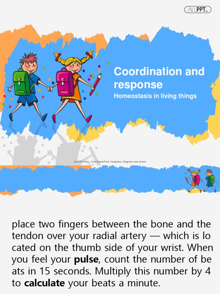 Coordination and Response: Homeostasis in Living Things | PDF