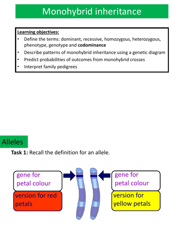 Monohybrid Inheritance | PDF | Allele | Zygosity