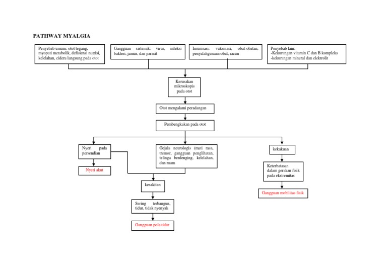 Pathway Myalgia dan Diagnosa Keperawatan | PDF
